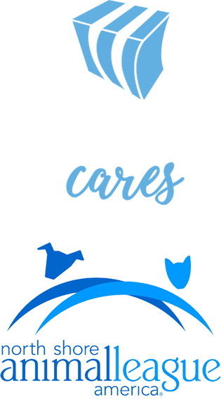 Culture | What makes Wilen the right choice for your marketing career